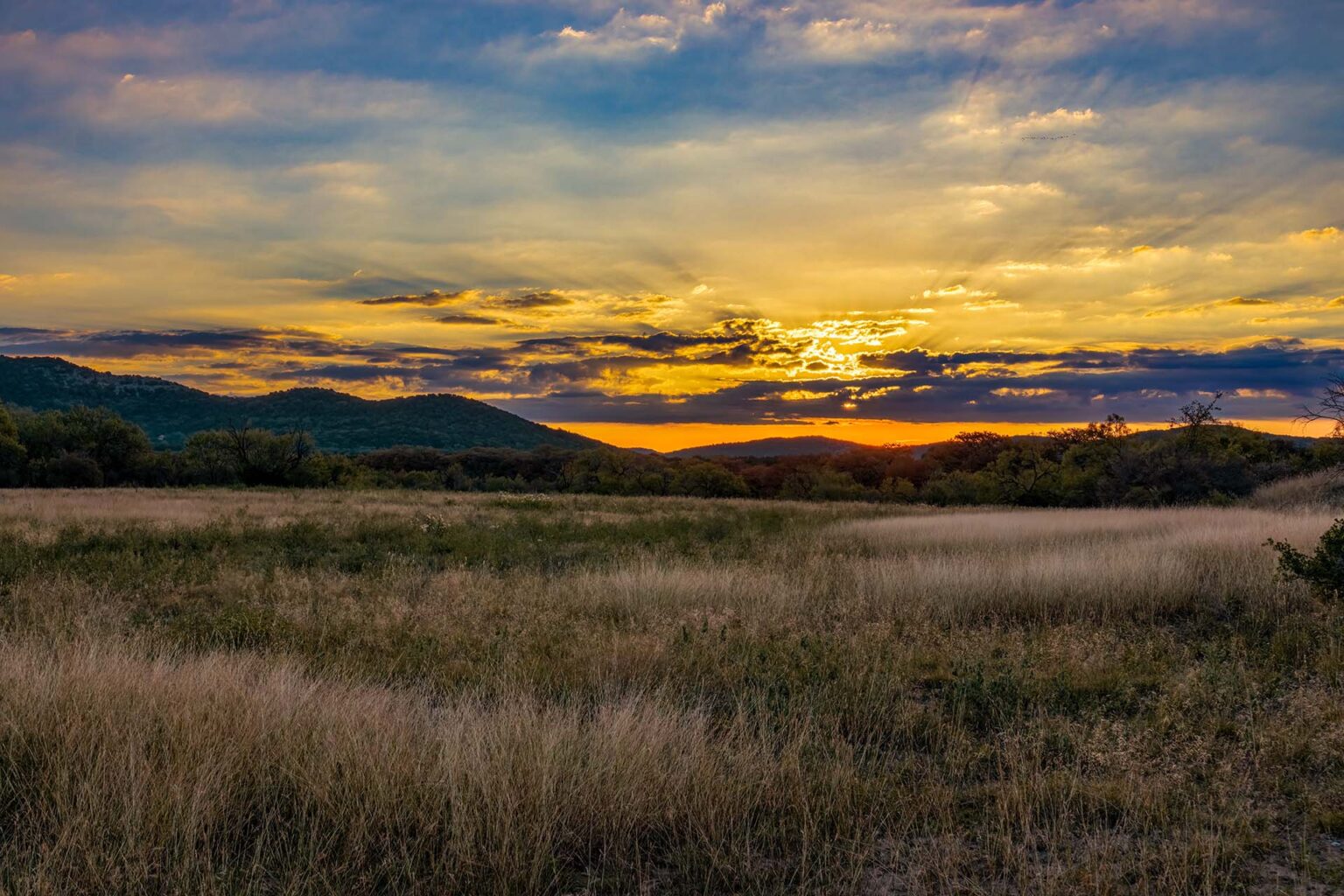 Hill Country Rock | Premium Thin Stone Veneer